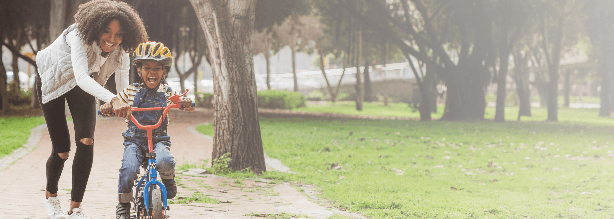 Search | New York State 211